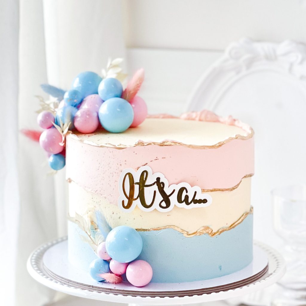 Puffin Panda – Safari Animal Cake • Safari Cakes